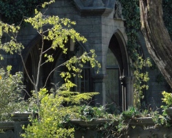 Tim-Burton.net • Dark Shadows